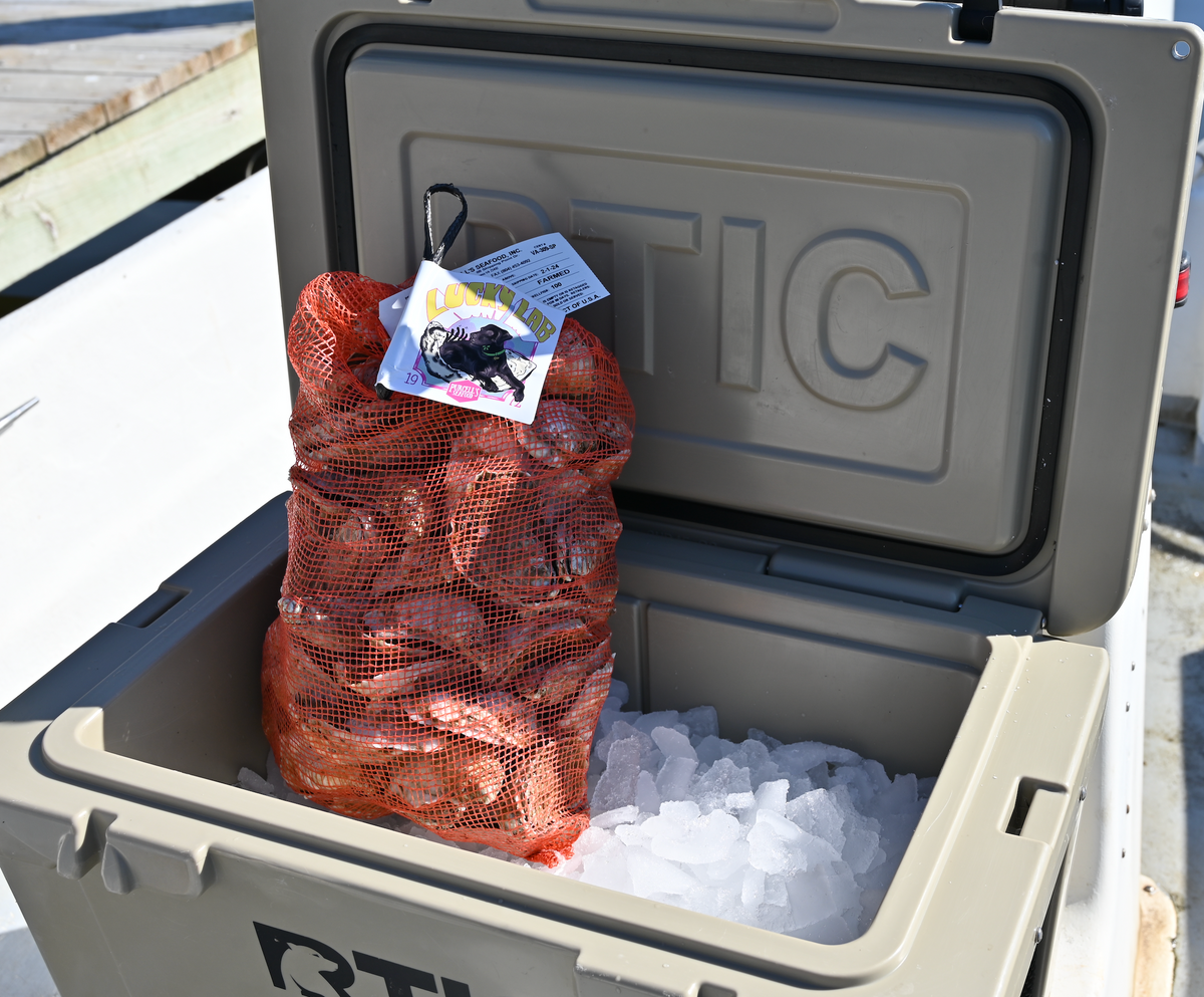 A Guide to Properly Storing Fresh Oysters in Your Fridge – Purcells Seafood