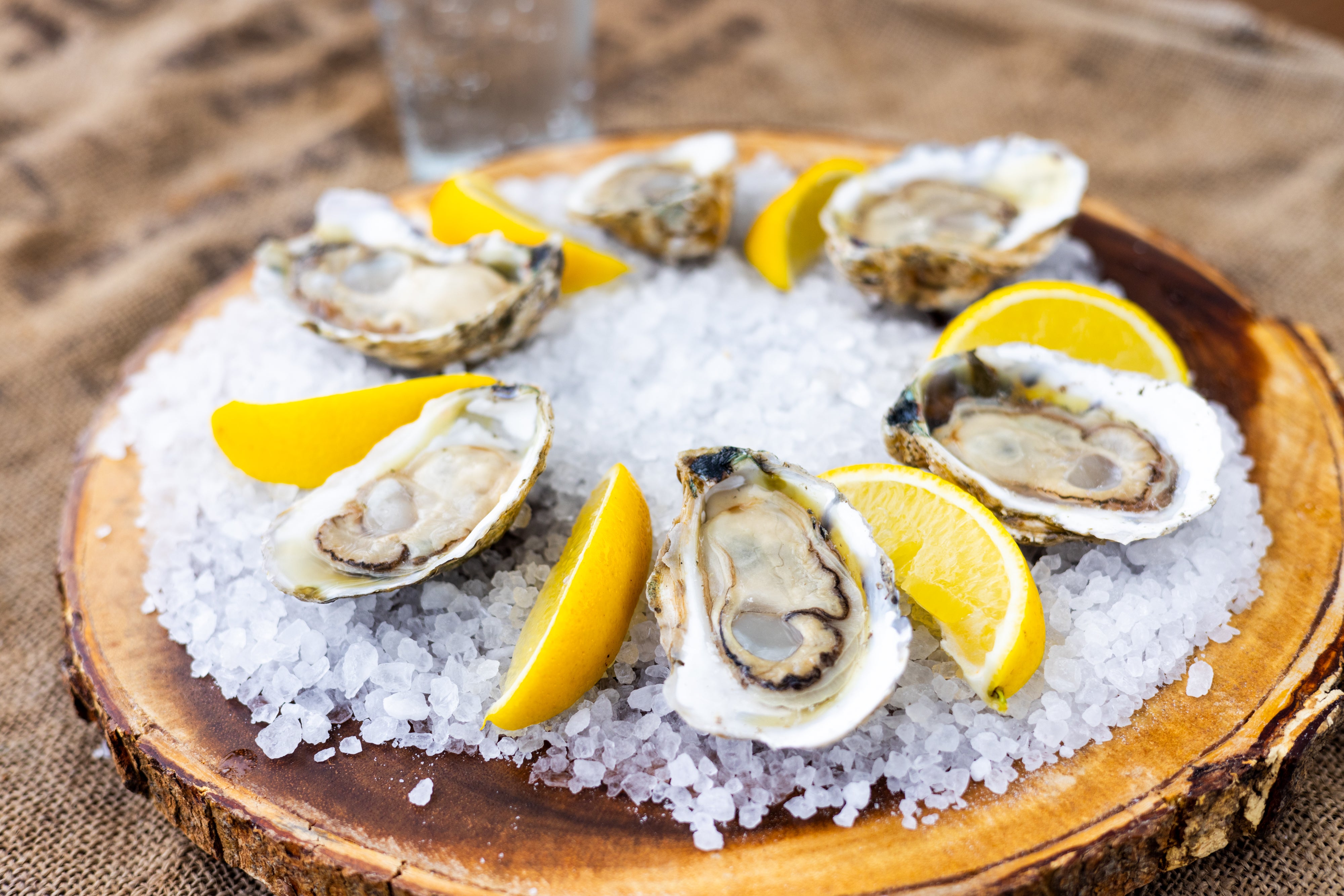 Collections – Purcells Seafood